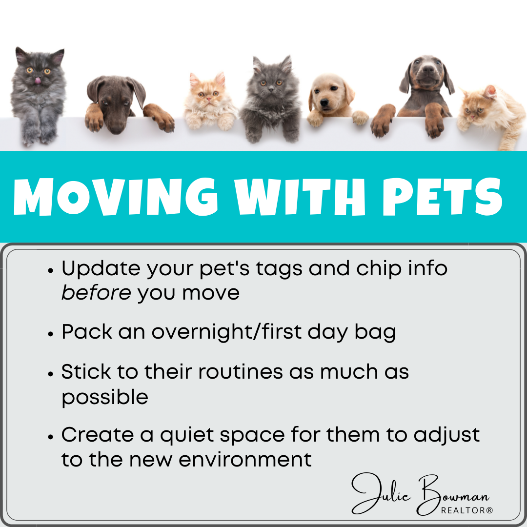 Moving With Pets
