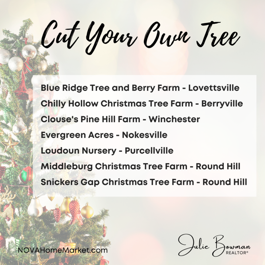 Cut Your Own Christmas Tree